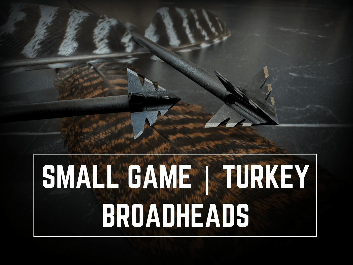 Fixed Blade Broadheads – Tooth of the Arrow Broadheads