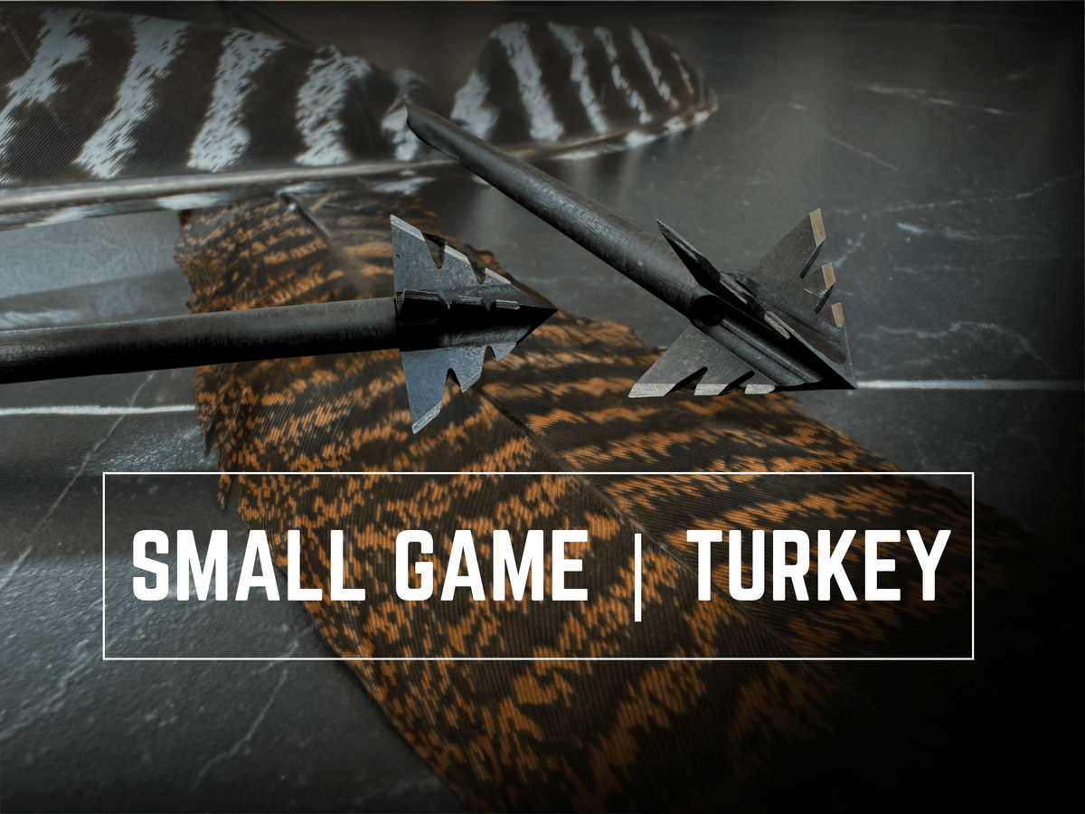 Fixed Blade Broadheads – Tooth of the Arrow Broadheads